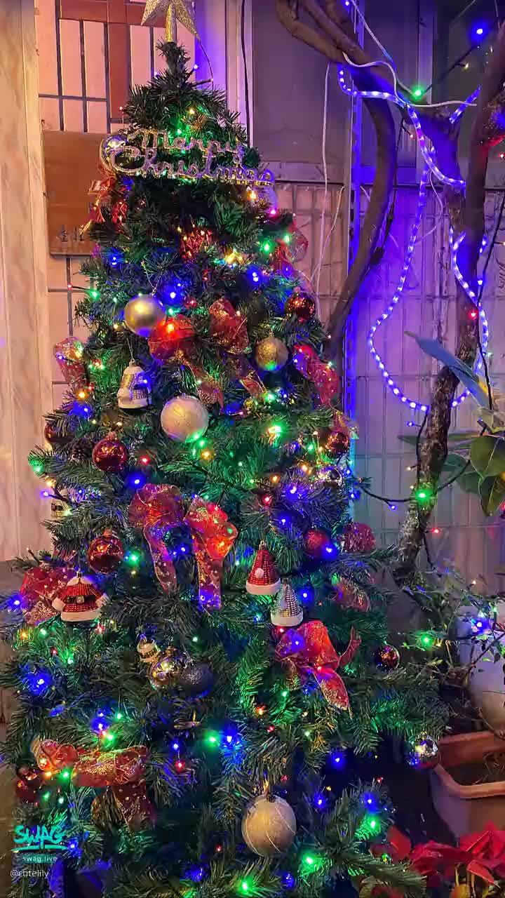 我的公公們 ️聖誕快樂 ️聖誕節的莉寶還在上班～等等應該會忙到翻掉，最討厭節慶的我🥲🥲但我的心永遠想著你們 ️那這樣會有人帶我去補過聖誕🎄節嘛