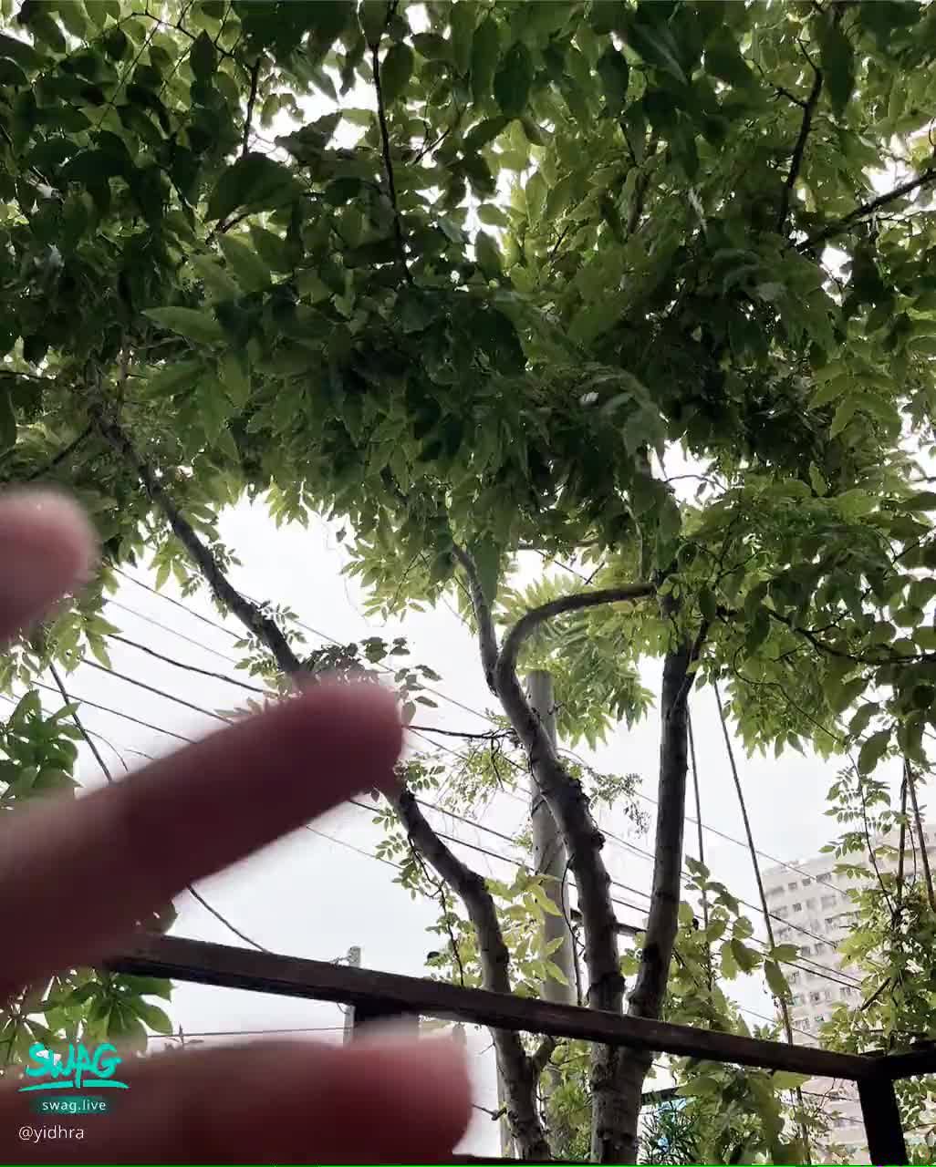 你好2023，迎接新的挑戰💪🏻 Swag