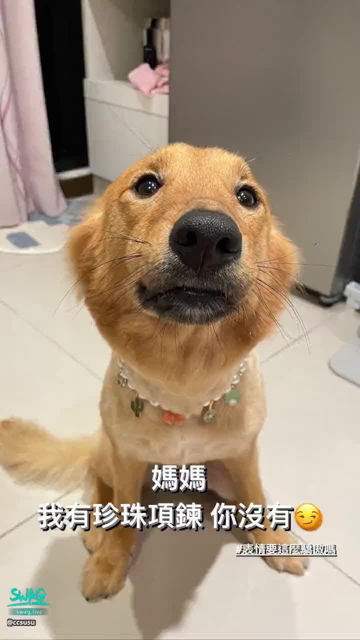昨天洗完澡回來老闆送了一條珍珠項鍊 好可愛呀 ️ Swag