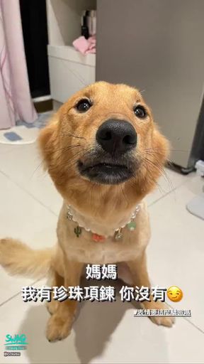 昨天洗完澡回來老闆送了一條珍珠項鍊 好可愛呀 ️ Swag