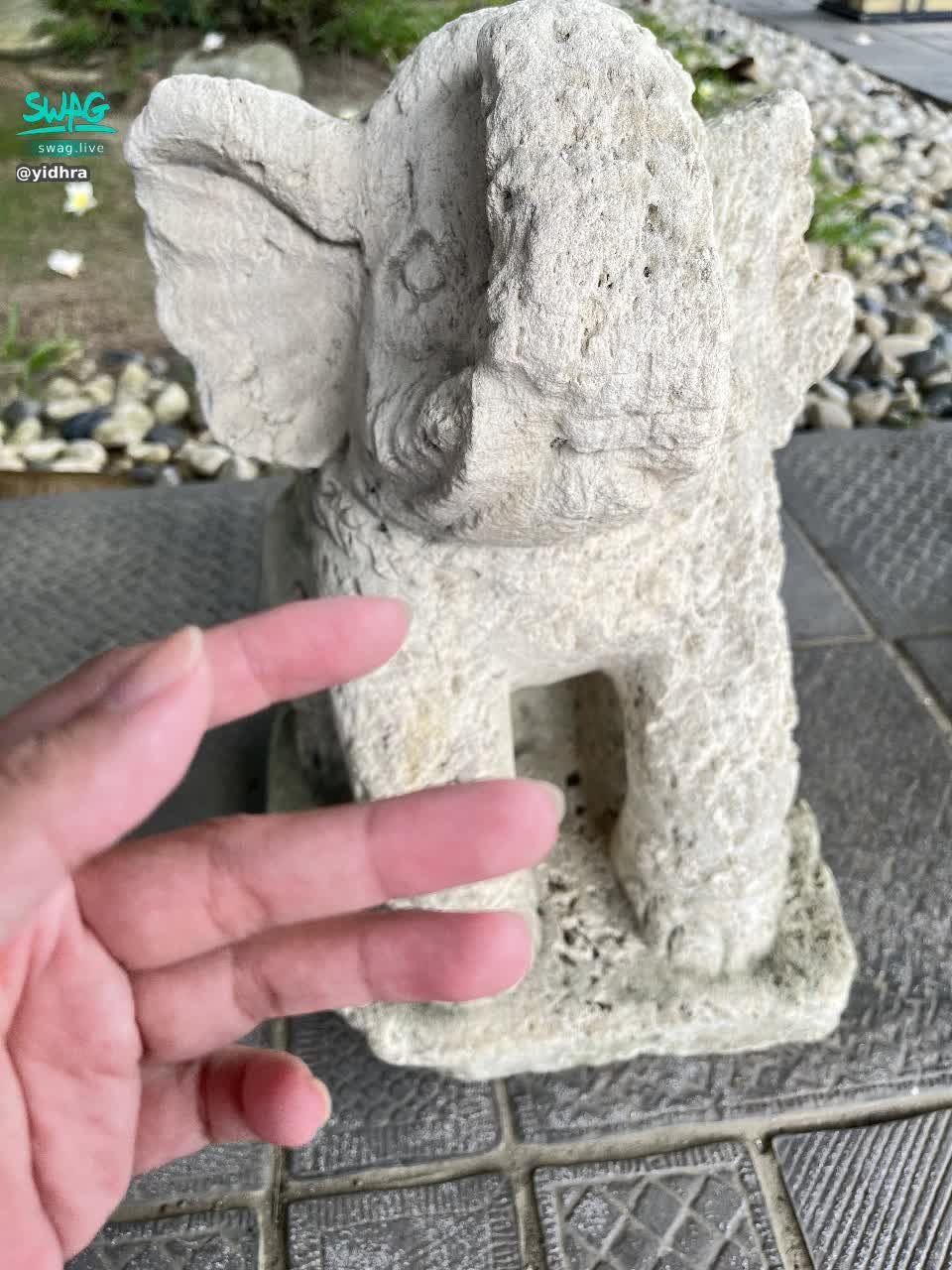 會越來越好的👌🏻 Swag