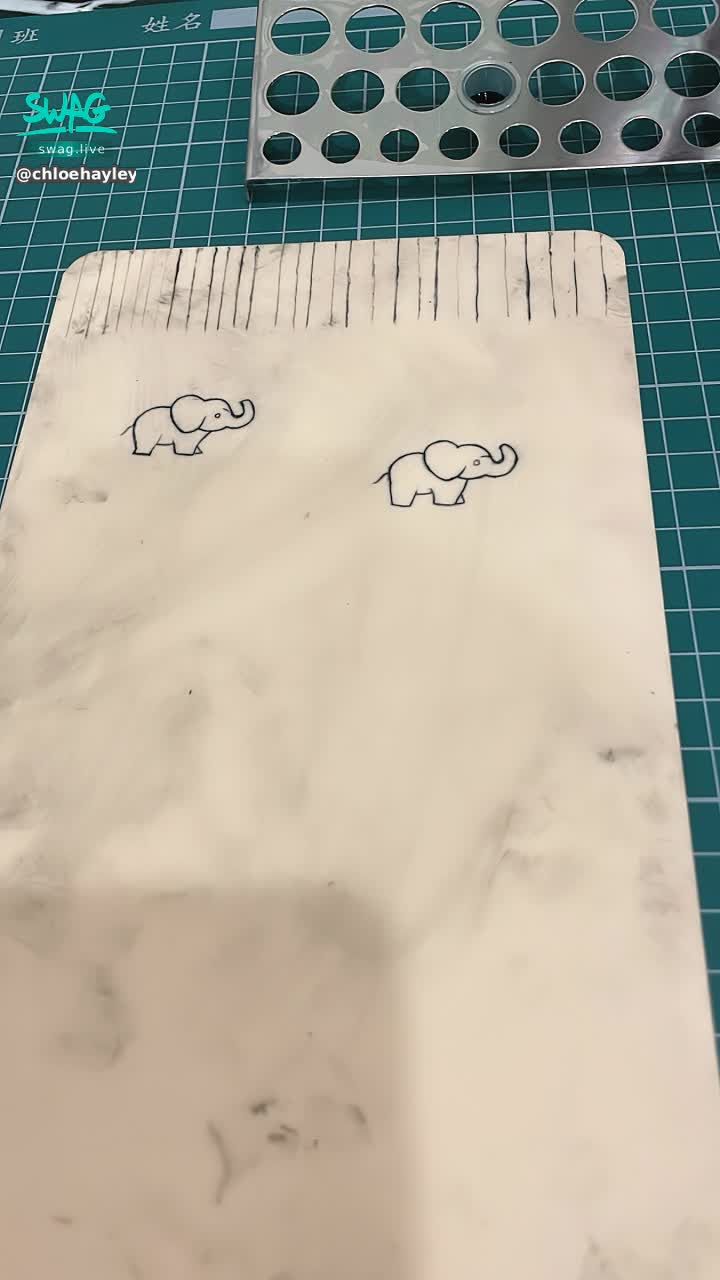 哈嘍👋大象🐘🤣🤣🤣歡迎找伊伊拿大尺度 禁 直播影片唷 Swag