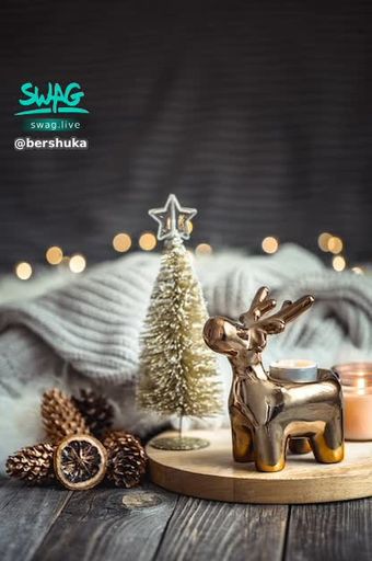 《週三1007更新》茉茉生日限定抽抽樂‼️祝我生日快樂🎂人人有獎‼ Swag