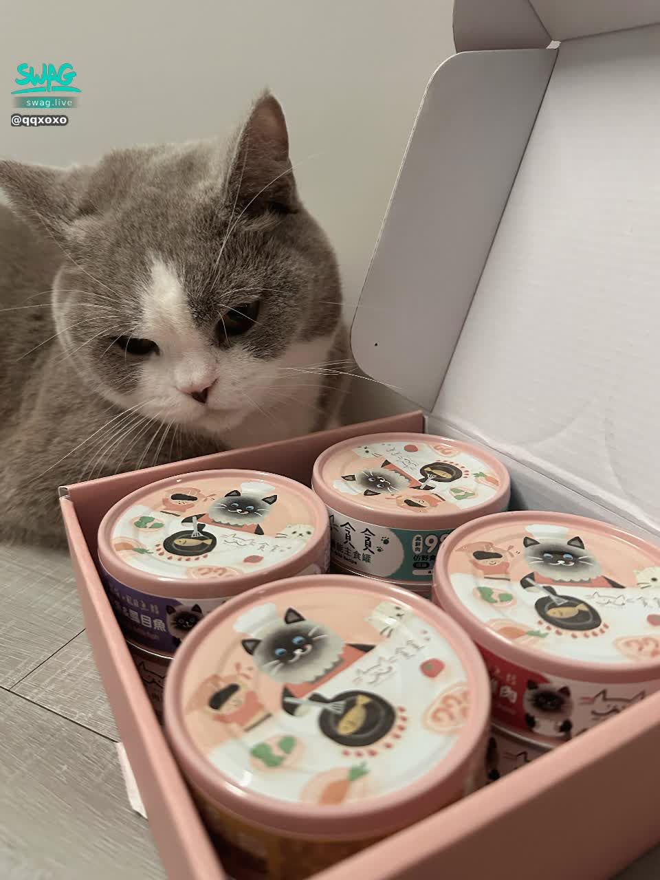😻謝謝q粉💜幸福的小皮也有罐罐禮物🎁 Swag