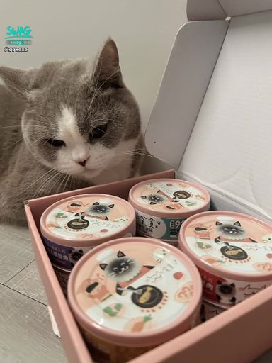 😻謝謝q粉💜幸福的小皮也有罐罐禮物🎁 Swag
