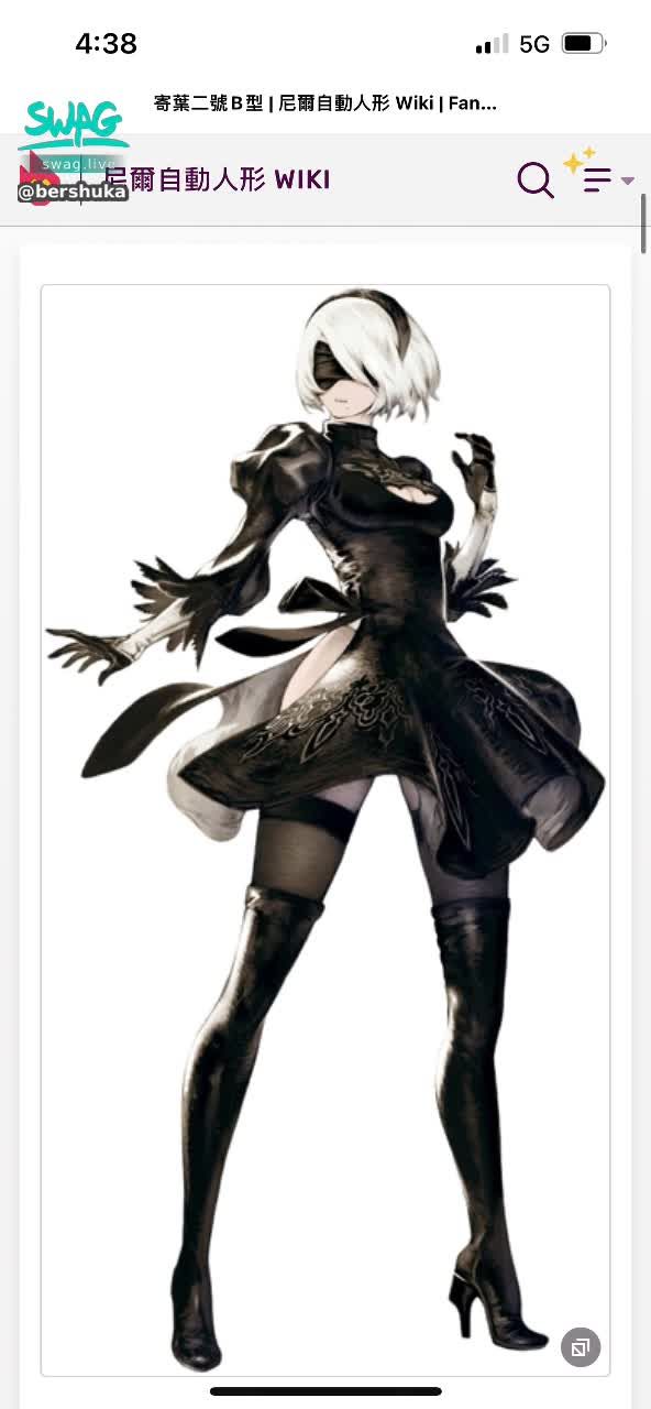 有人喜歡2B嗎？ | SWAG