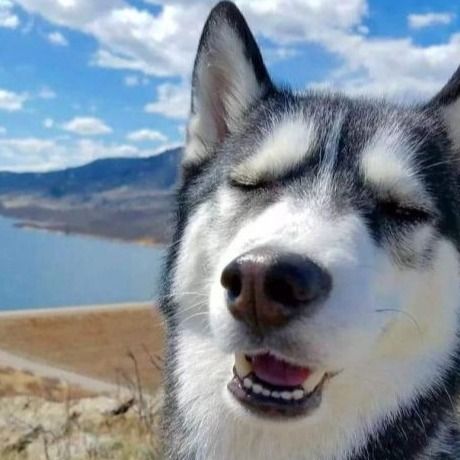 ninoswaglive | Image | SWAG Creators - SWAG.Live | SWAG.Live